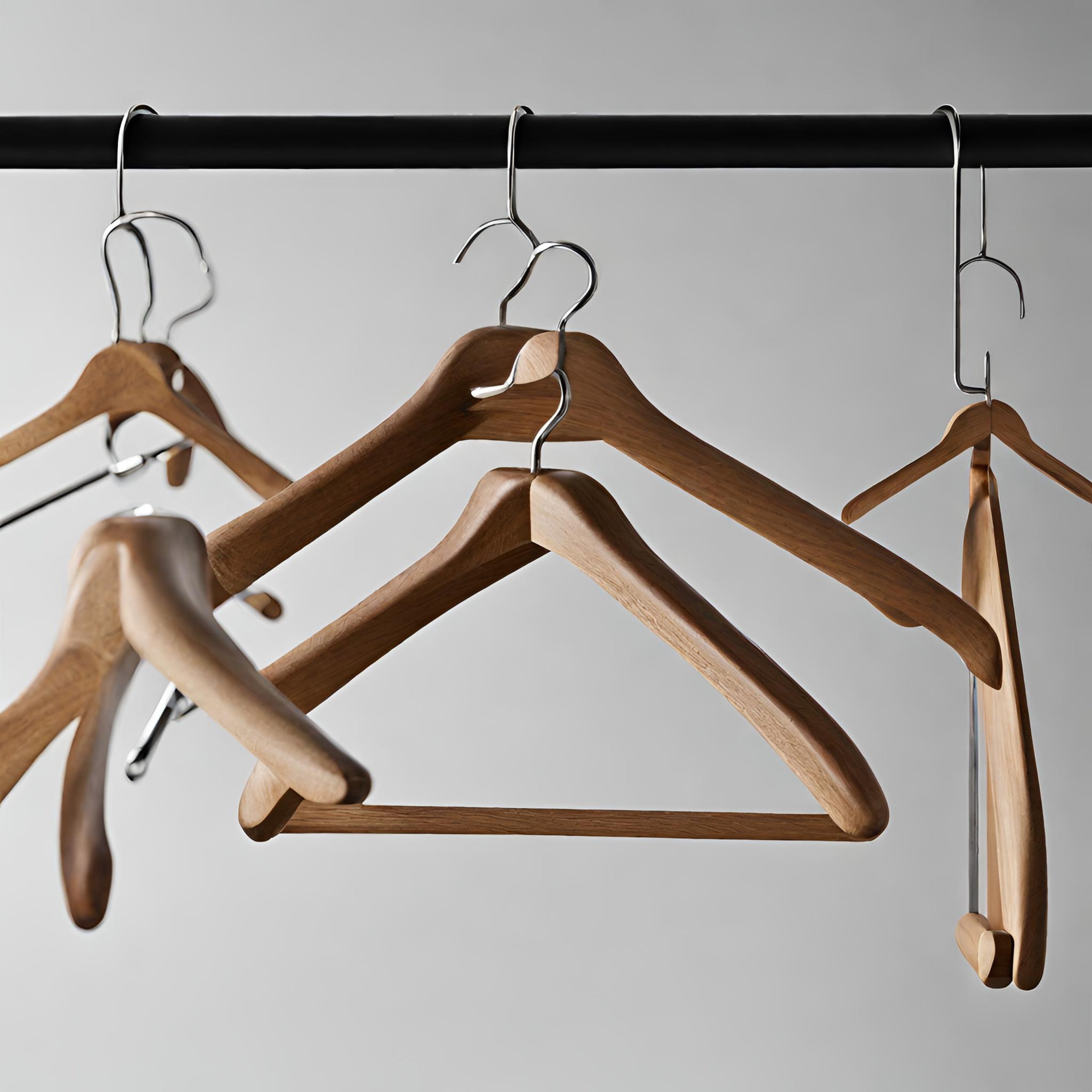 Premium Coat Hangers in wood, Plastic, Metal & Sustainable – Hangers of ...